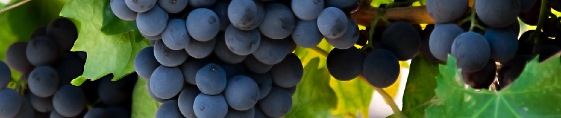 California Natural Color | Nature's True Colors